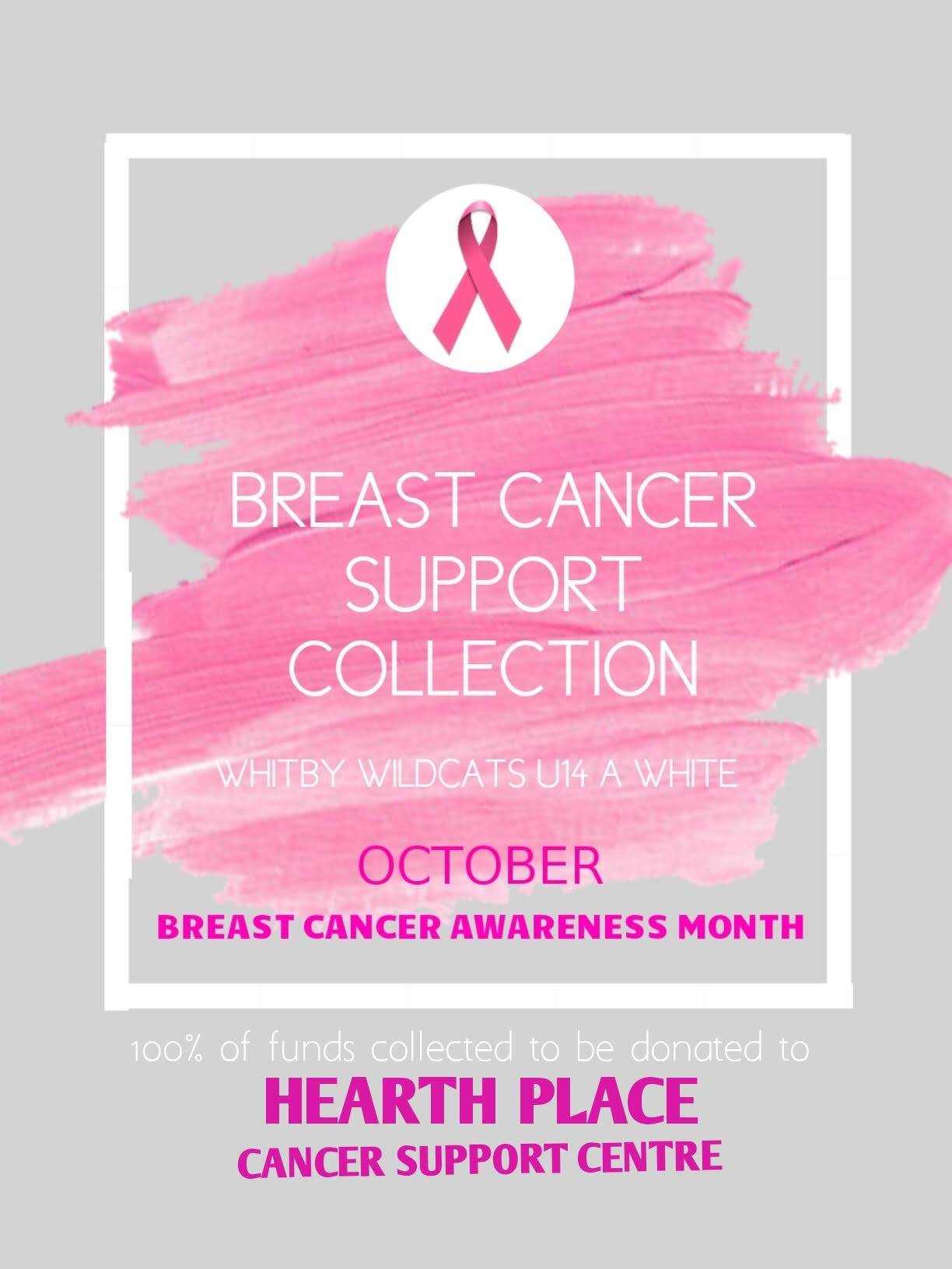 U14 > U14 A Gold > News > U14 A Gold Partners in Support of Breast ...